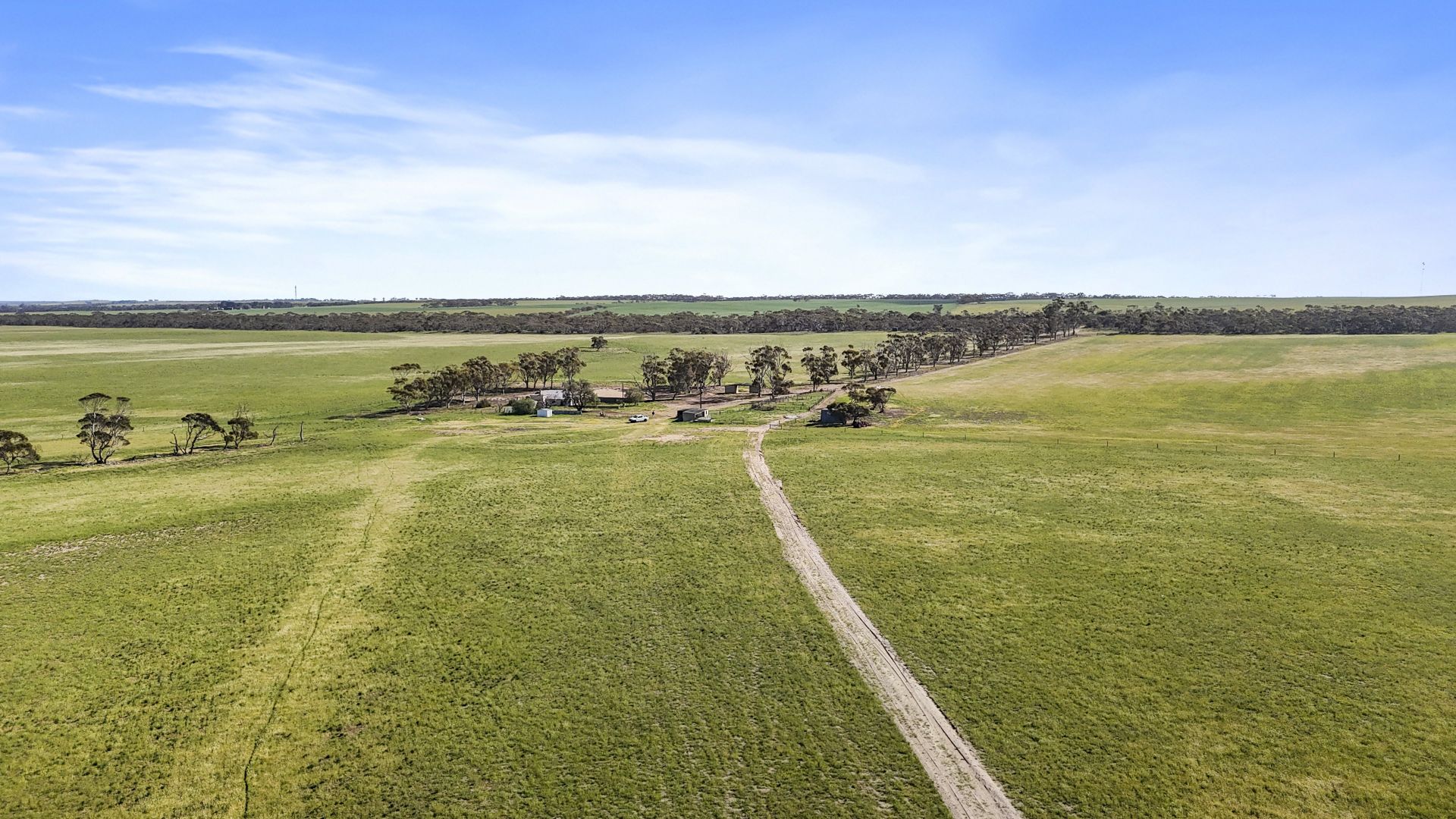 4910 Mallee Highway, Peake SA 5301 - Farm for Sale | Domain