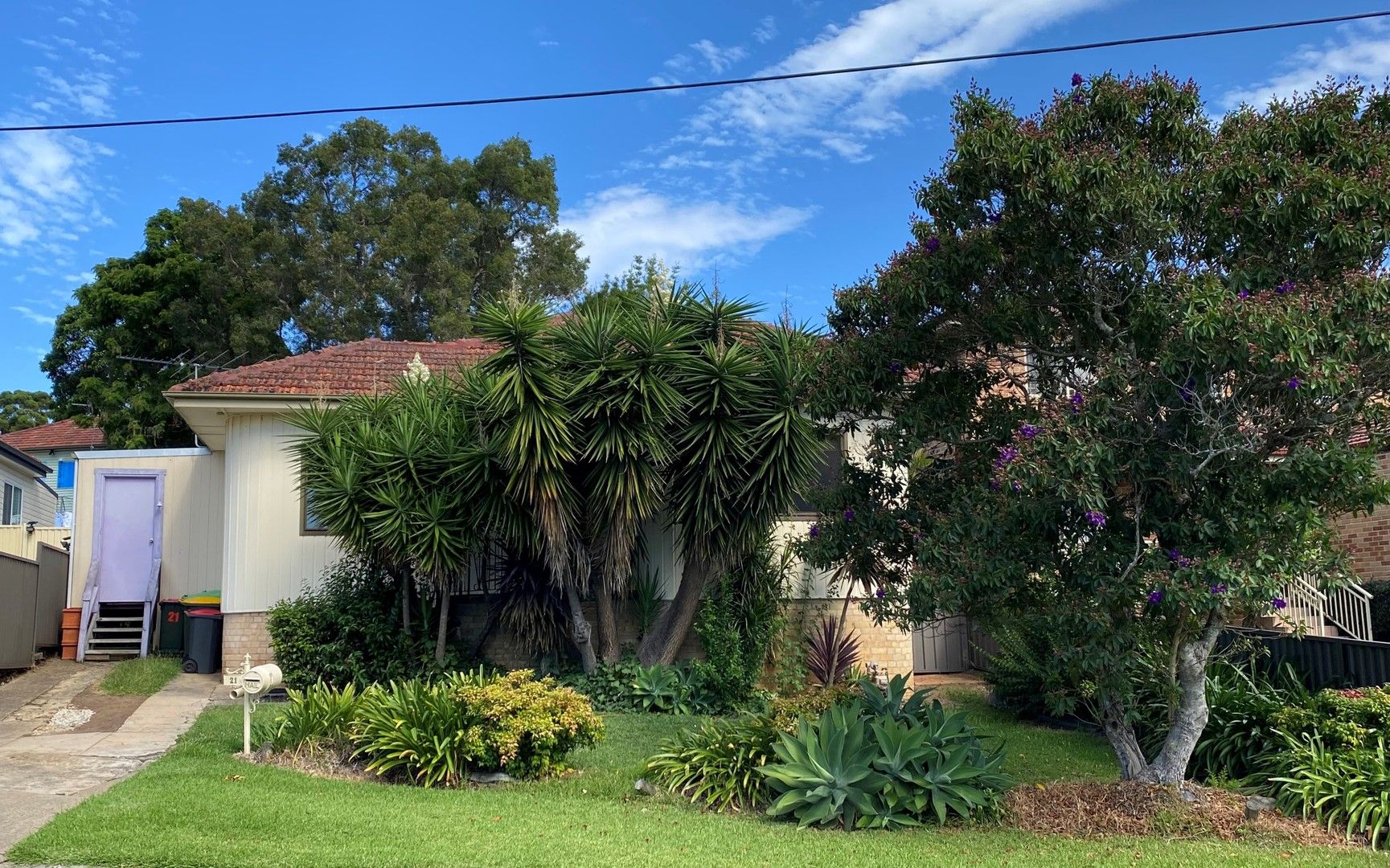 21 Rita Street, Narwee NSW 2209 - House For Rent | Domain