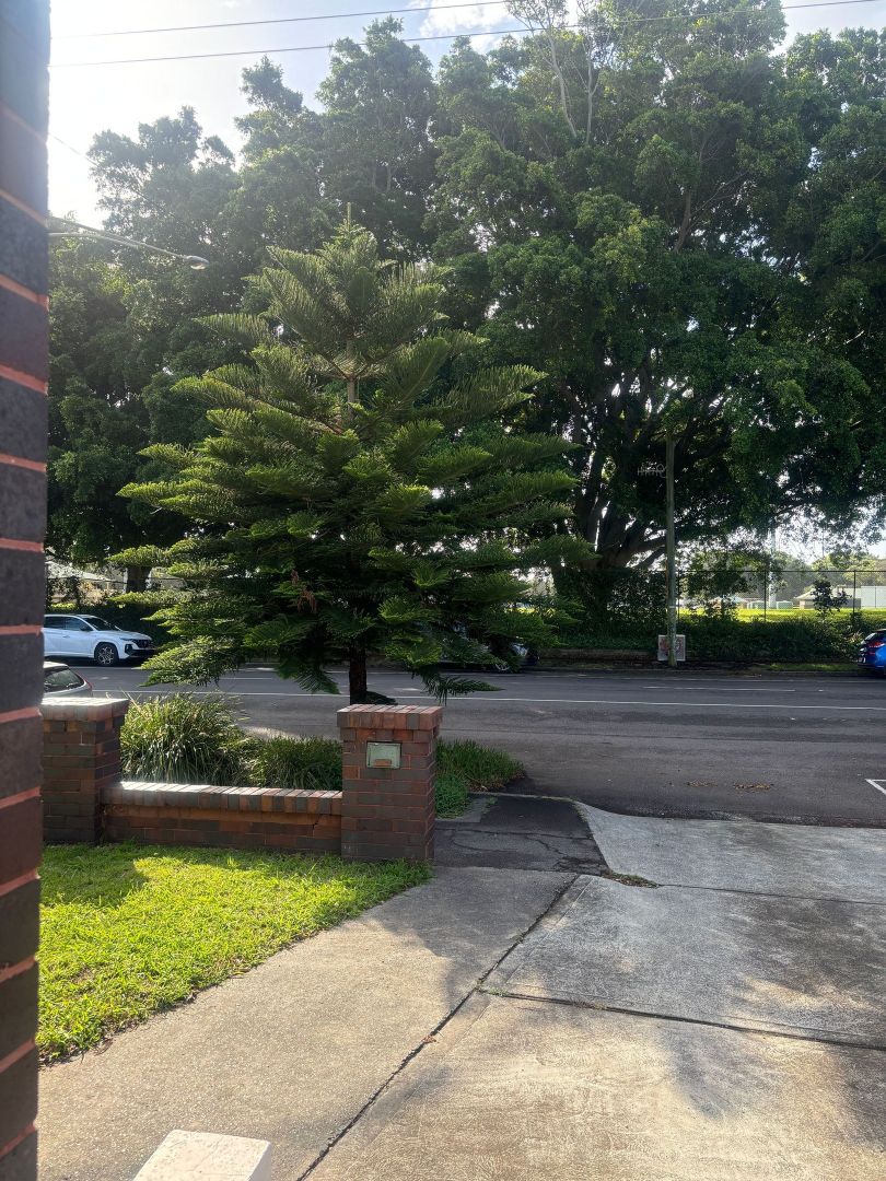 Cooks Hill NSW 2300 - 3 beds semi-detached for Rent, $795 per week ...