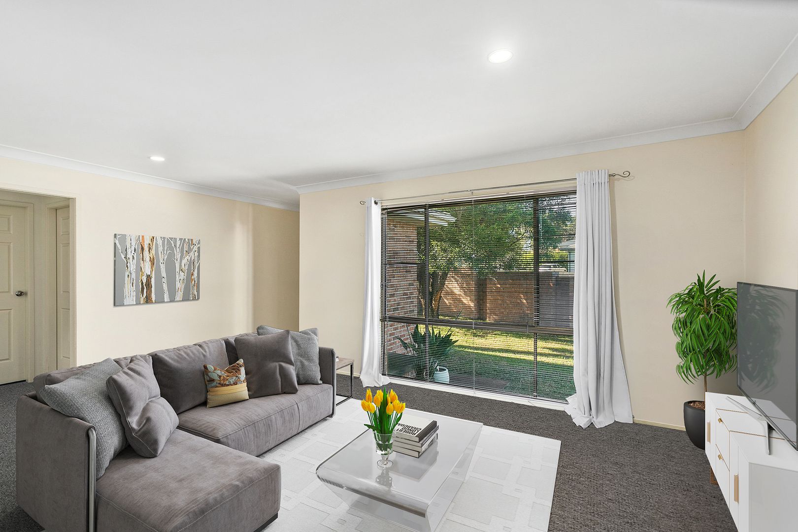 2 Old Bass Point Road, Shellharbour NSW 2529 | Domain