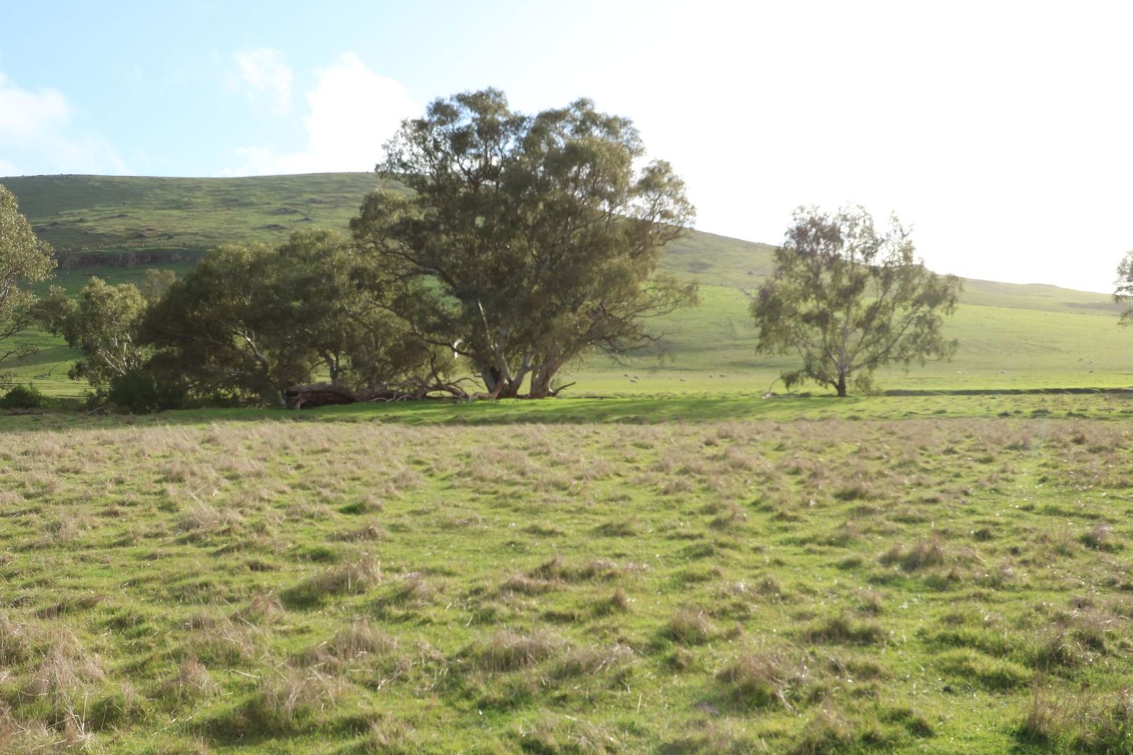 1590 Dunach-Eddington Road, Mount Glasgow | Property History & Address ...