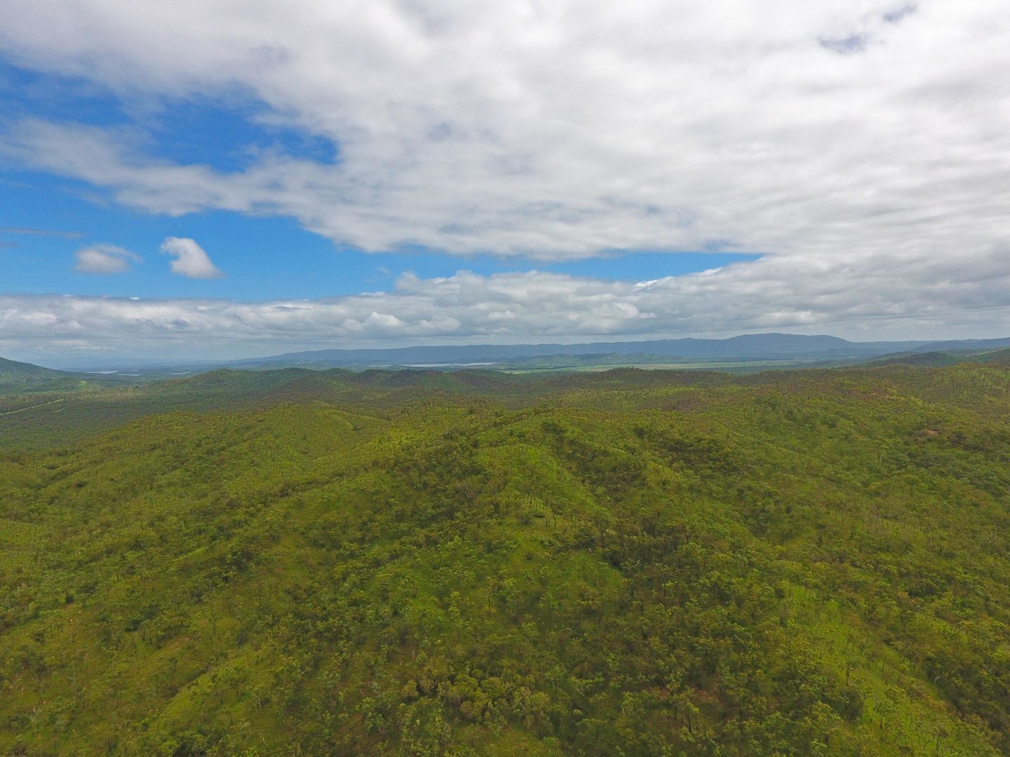 103/3609 Mulligan Highway, Mount Molloy QLD 4871 | Domain