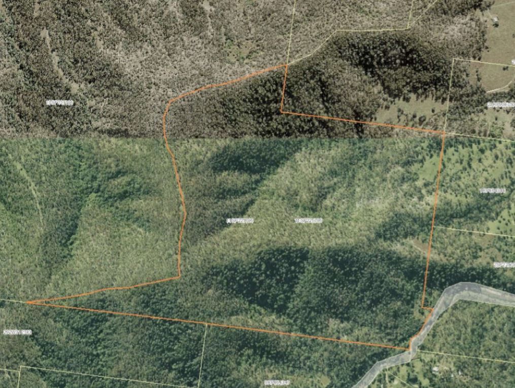 972 Wild Pig Creek Road, Undullah | Property History & Address Research ...