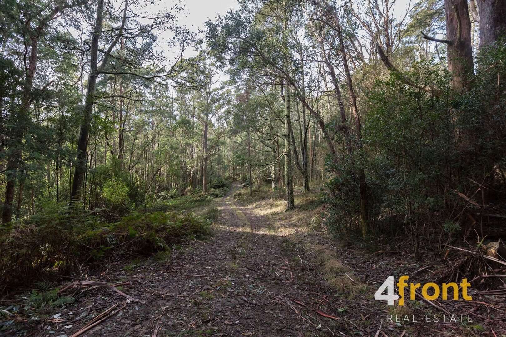 141 Tiers View Road, Golden Valley | Property History & Address ...