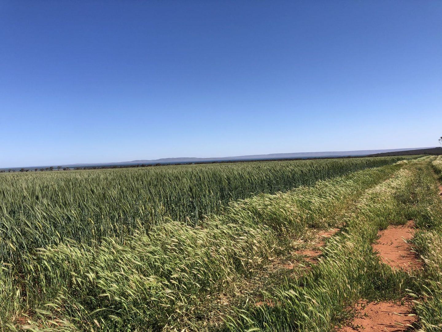 Lot 1 Miranda Rd, Miranda SA 5700 | Domain