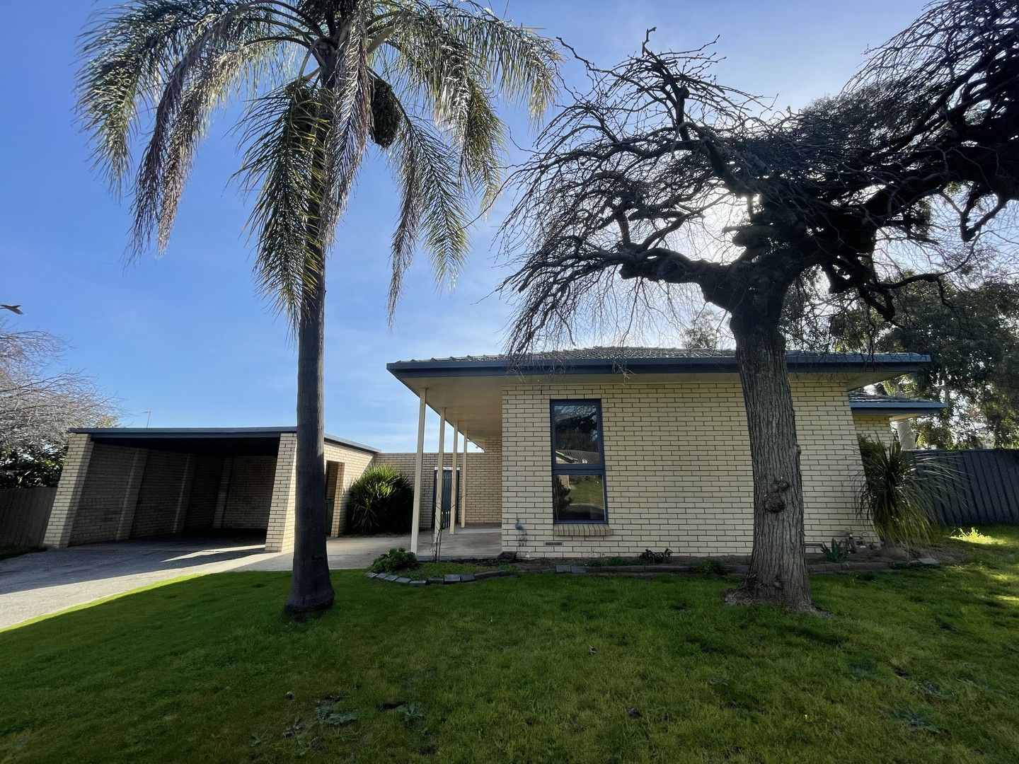 907 Pemberton Street, West Albury NSW 2640 - House For Rent | Domain