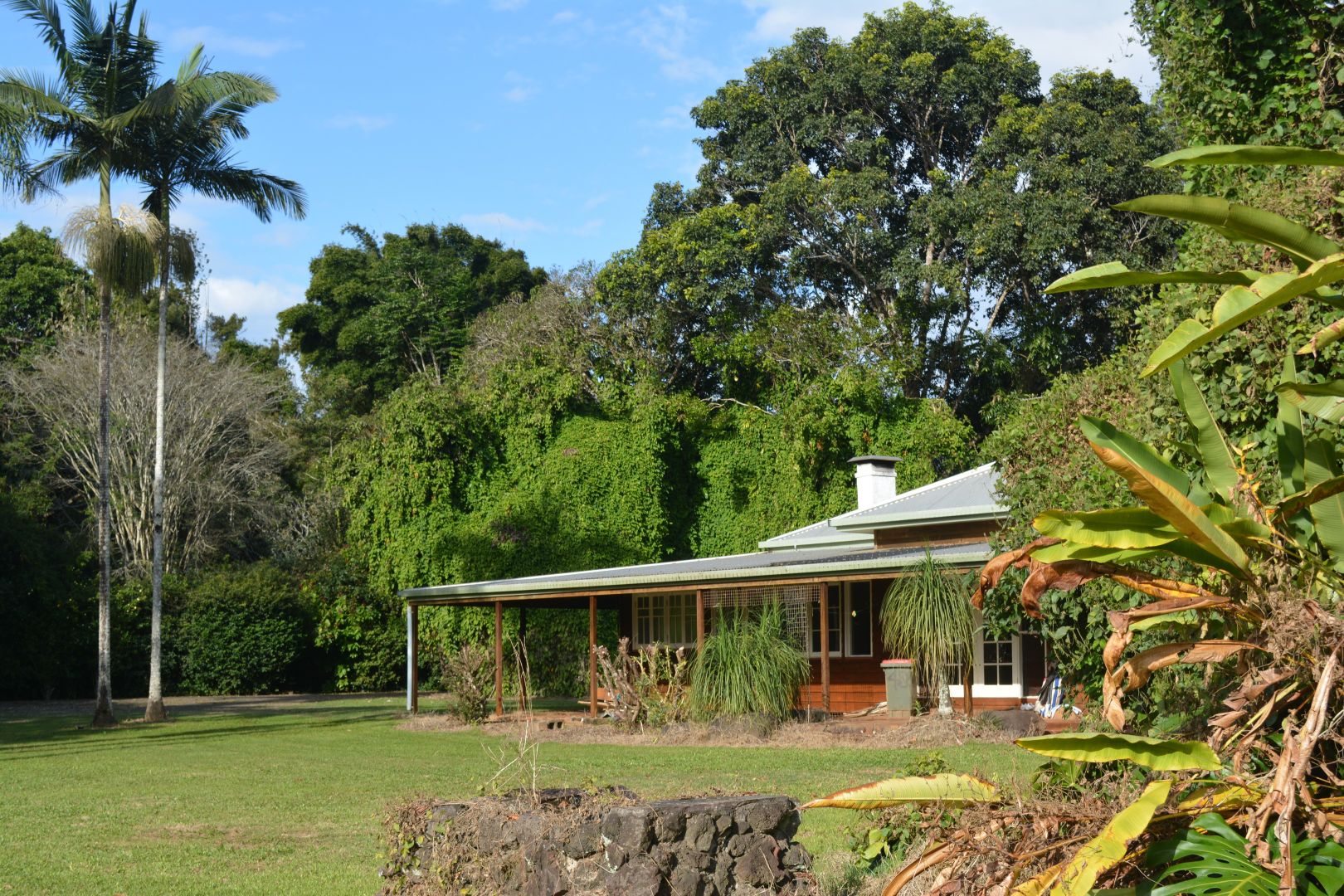 48 Upper Barron Road, Upper Barron QLD 4883 - House for Sale - $8,000