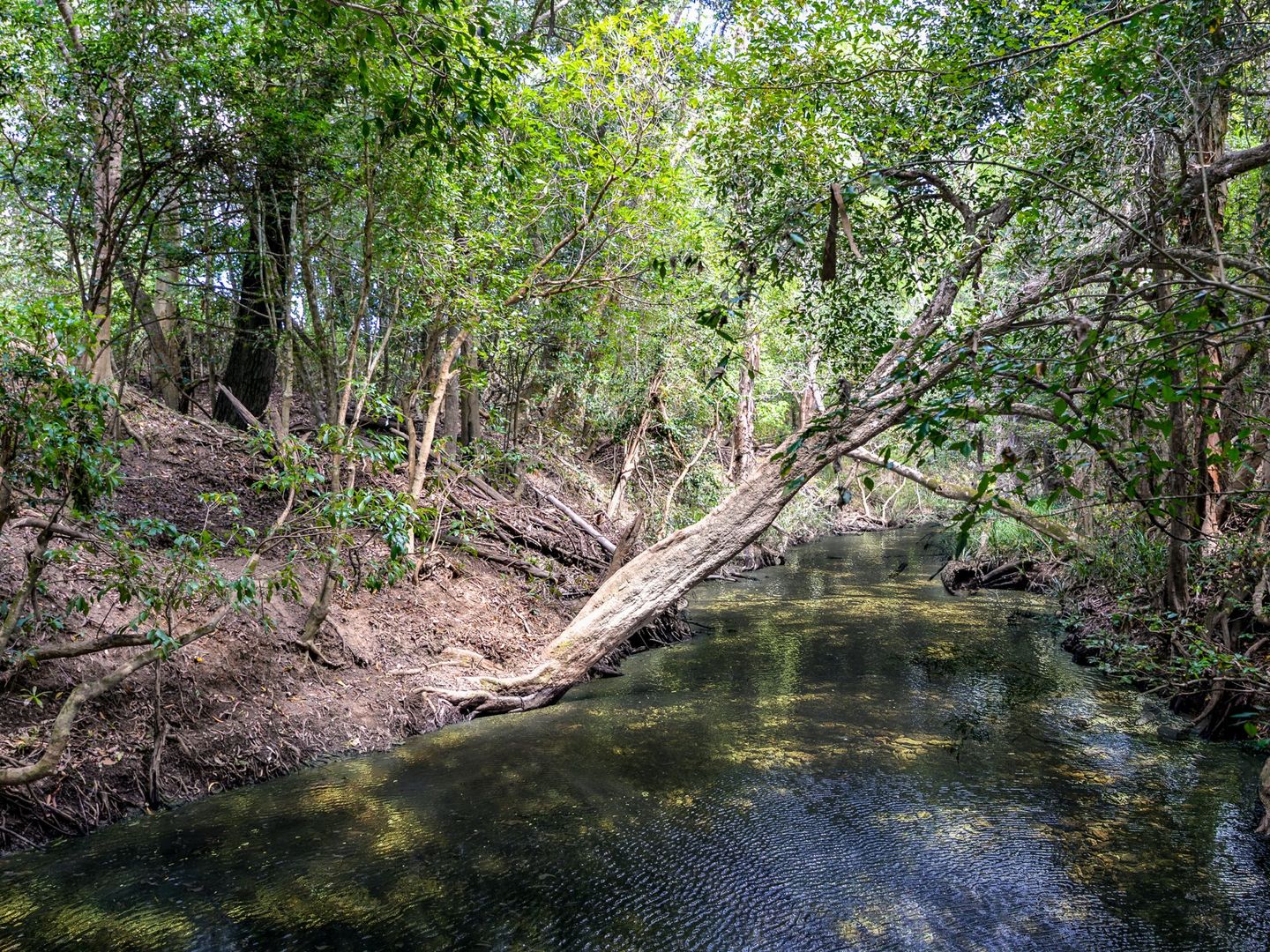 Lot 37 Wetherby Road, Mount Molloy QLD 4871 - Vacant Land for Sale ...