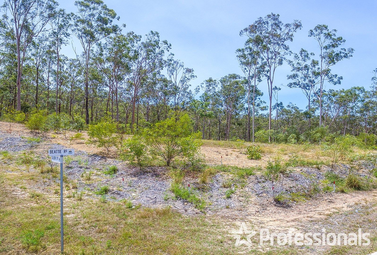 282 Beattie Road, Mundoolun | Property History & Address Research | Domain