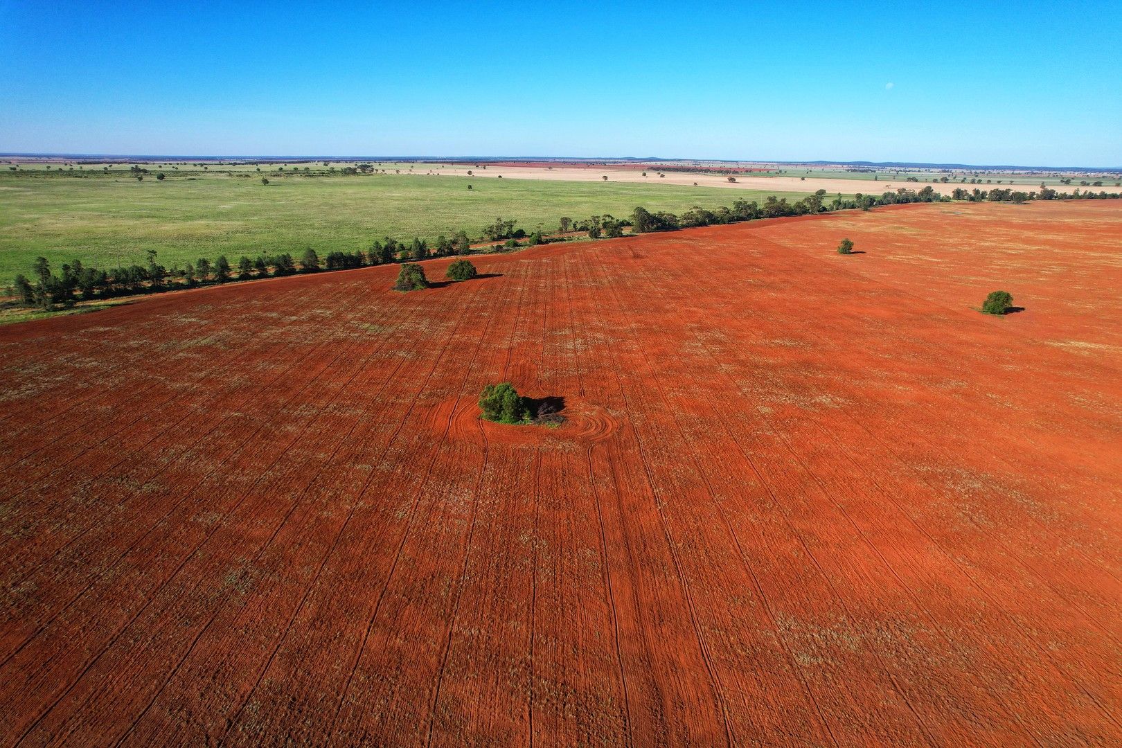 981 Myamley Road, Tottenham NSW 2873 - Specialist Farm for Sale