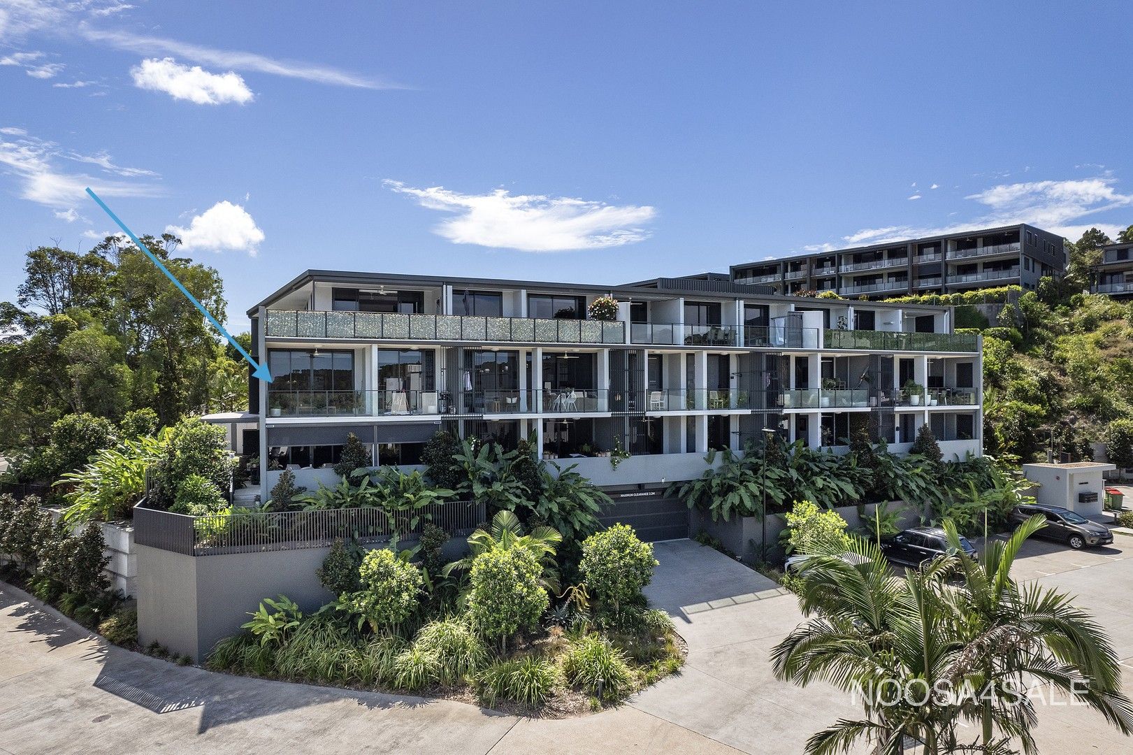 225/1 Alba Close, Noosa Heads QLD 4567 | Domain