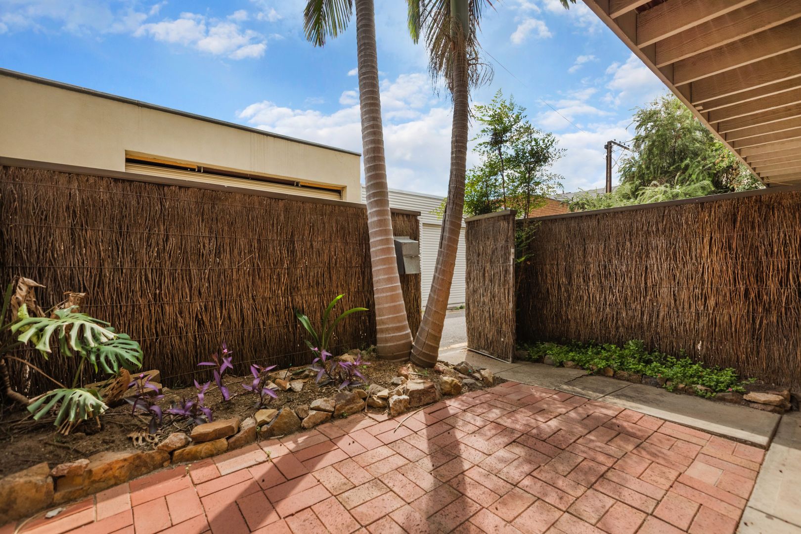 3 Grace Pl, Adelaide SA 5000 - House For Rent - $500 | Domain