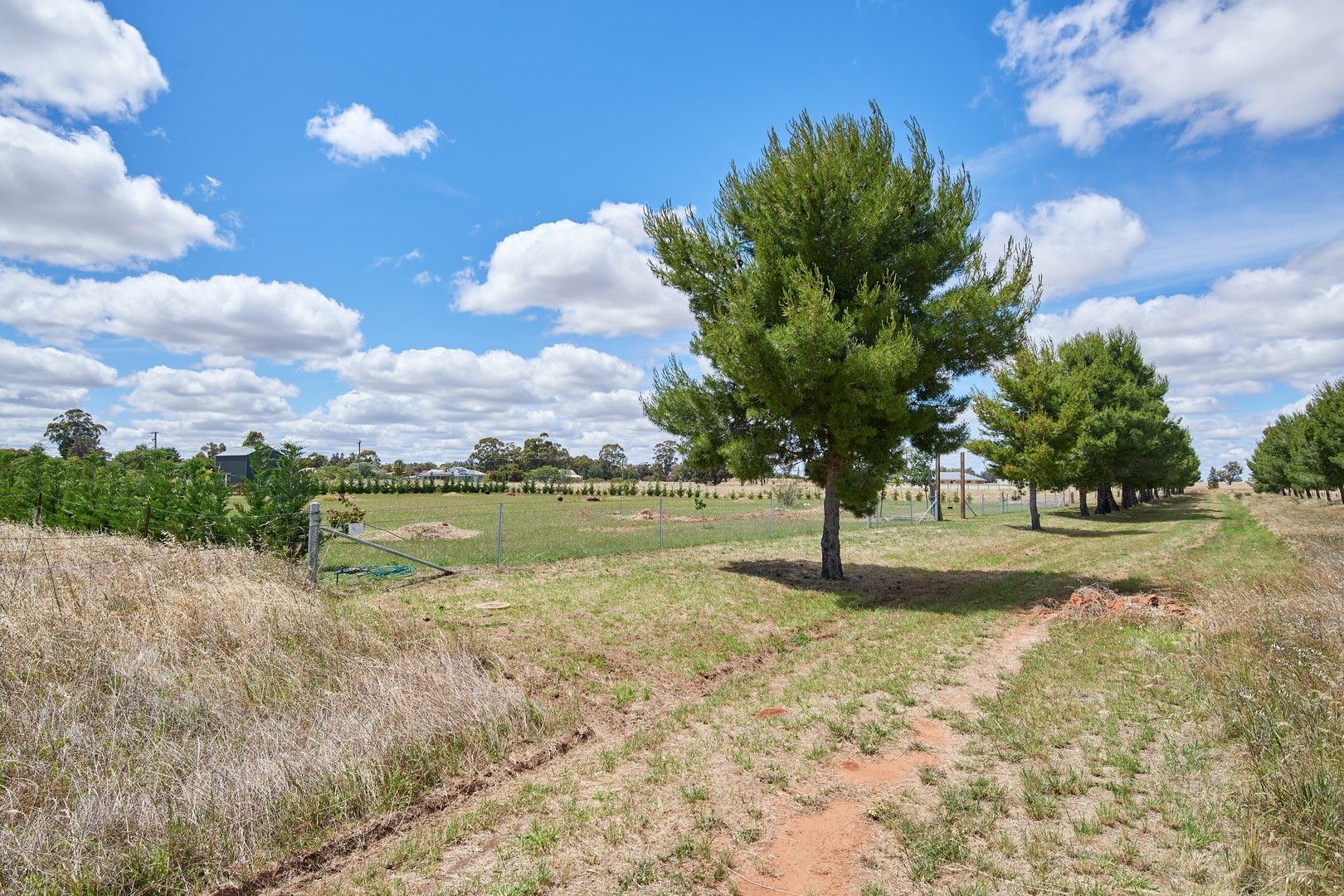 15-19 Hall Street, Ganmain NSW 2702 | Domain