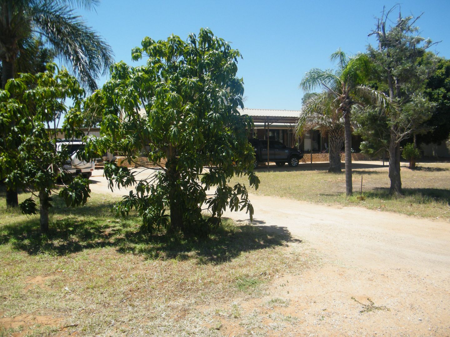 34 Freeman Street, Kingsford WA 6701 | Domain