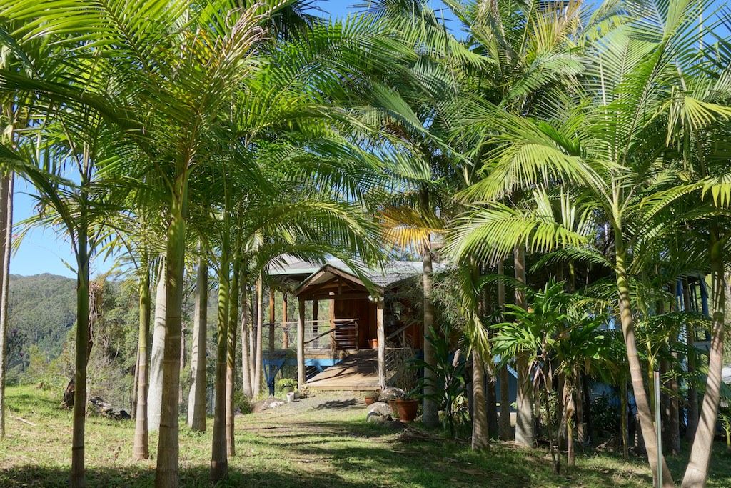 Sold in THE CHANNON NSW 2480 on 19 Jun 2015 - 2010660313 | Domain