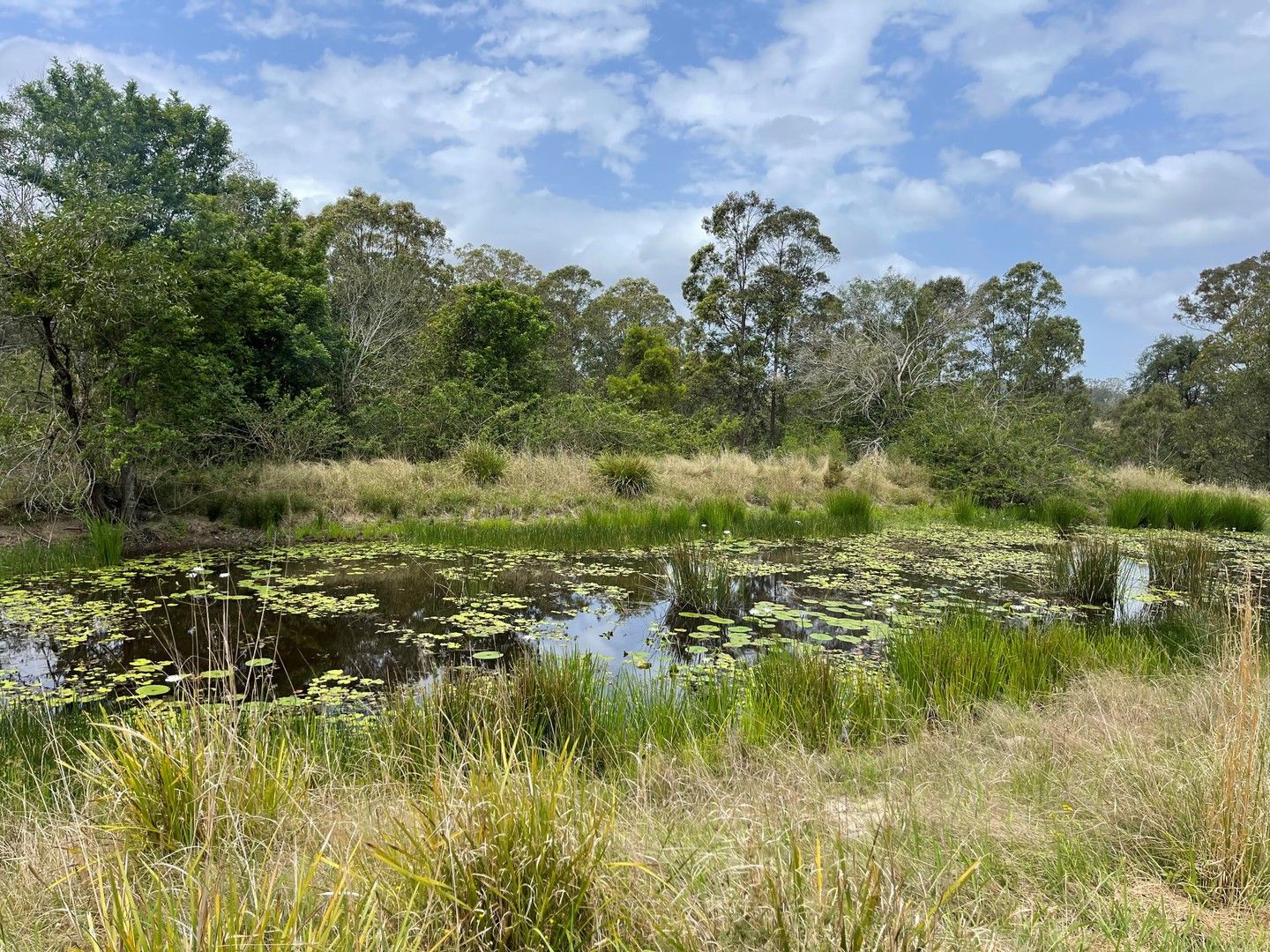 RMB Robinson Road, Marlee NSW 2429 - Vacant Land for Sale | Domain