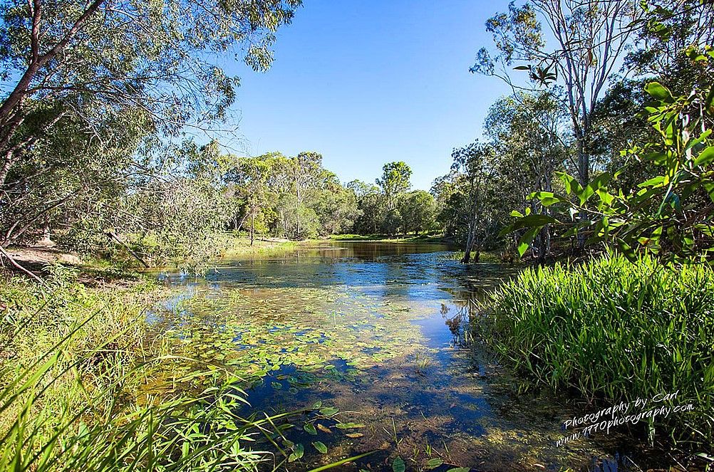 1 Round Hill Rd, Captain Creek QLD 4677 | Domain