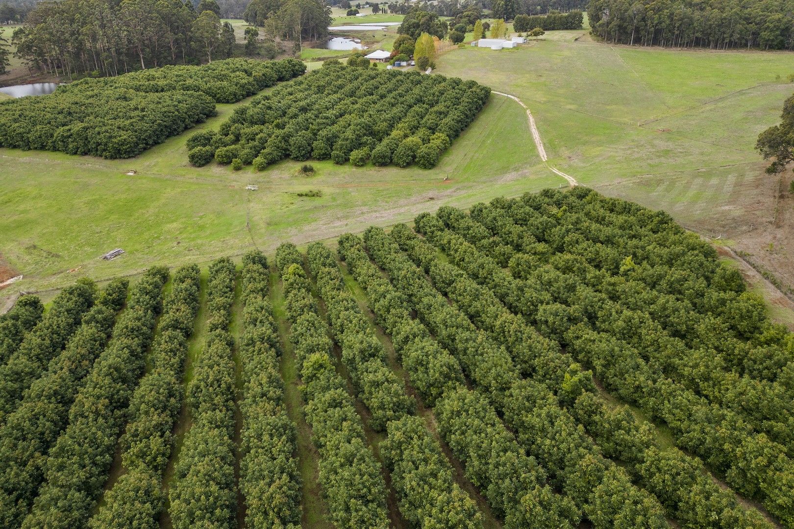 1806 Graphite Road, Glenoran WA 6258 - Farm for Sale | Domain