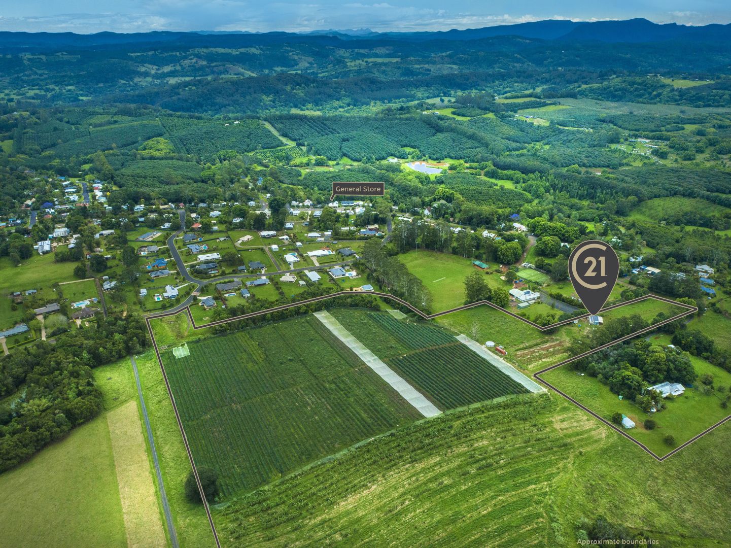 Dunoon NSW 2480 - 4 beds house for Sale, Contact Noel at Century 21 ...