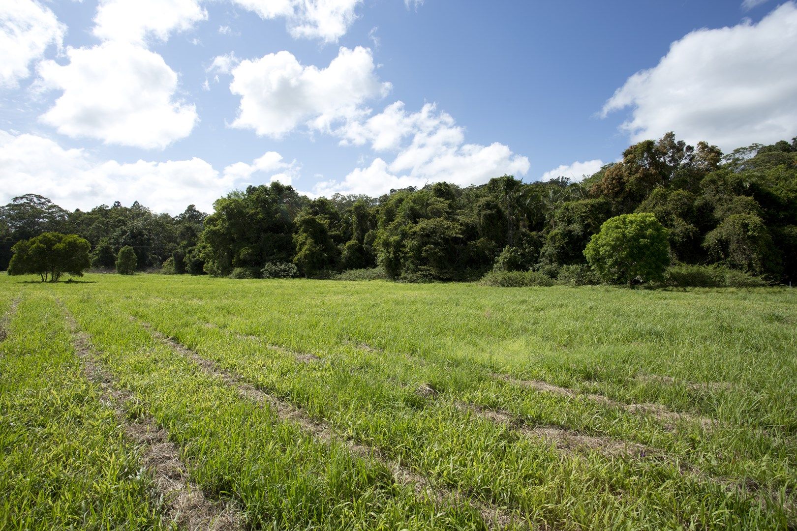 582 Gympie Kin Kin Road, Kin Kin | Property History & Address Research ...