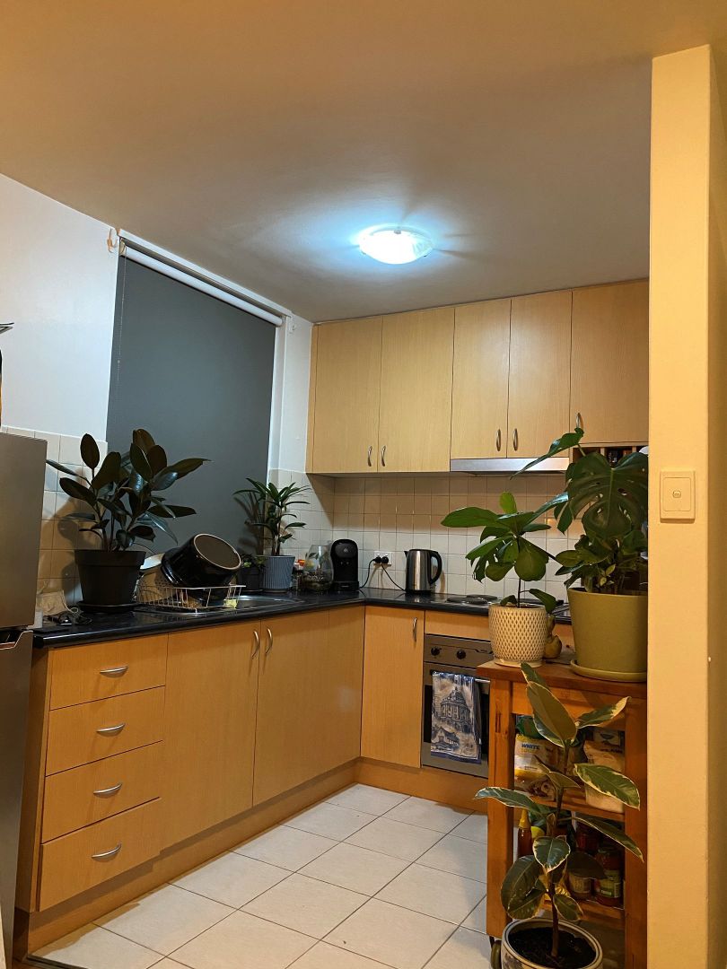 5/25 Bendigo Avenue, Elwood VIC 3184 - Apartment For Rent | Domain