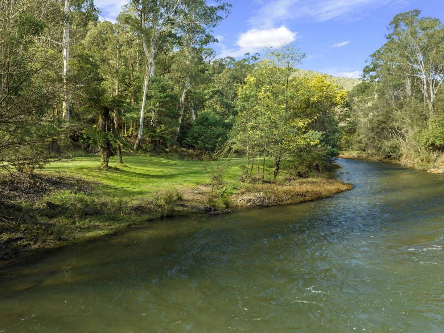 4225 Mansfield-Woods Point Road, Jamieson VIC 3723 | Domain