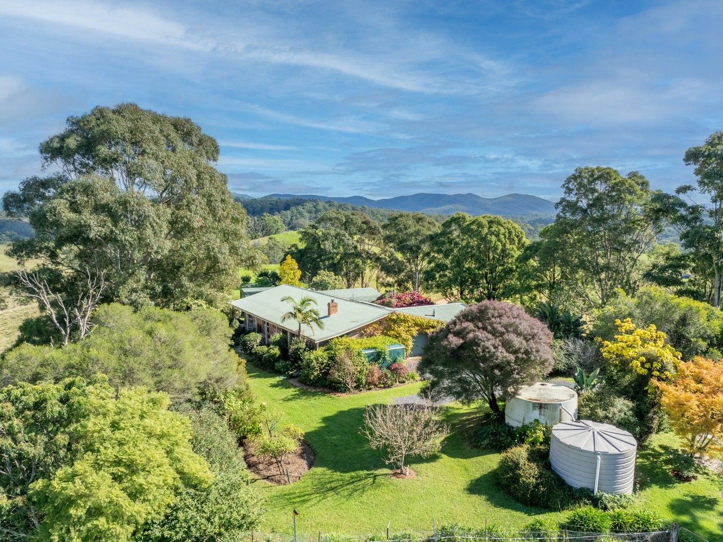 116 Hawks Head Road, Brogo NSW 2550 - House for Sale - $1,150,000