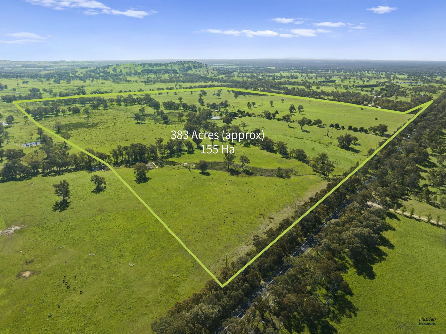 1498 Mansfield Road, Swanpool VIC 3673 - Farm for Sale | Domain