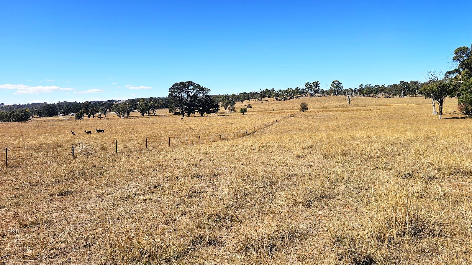 70 Sunset Hills Road, Neville NSW 2799 - House for Sale - $435,000