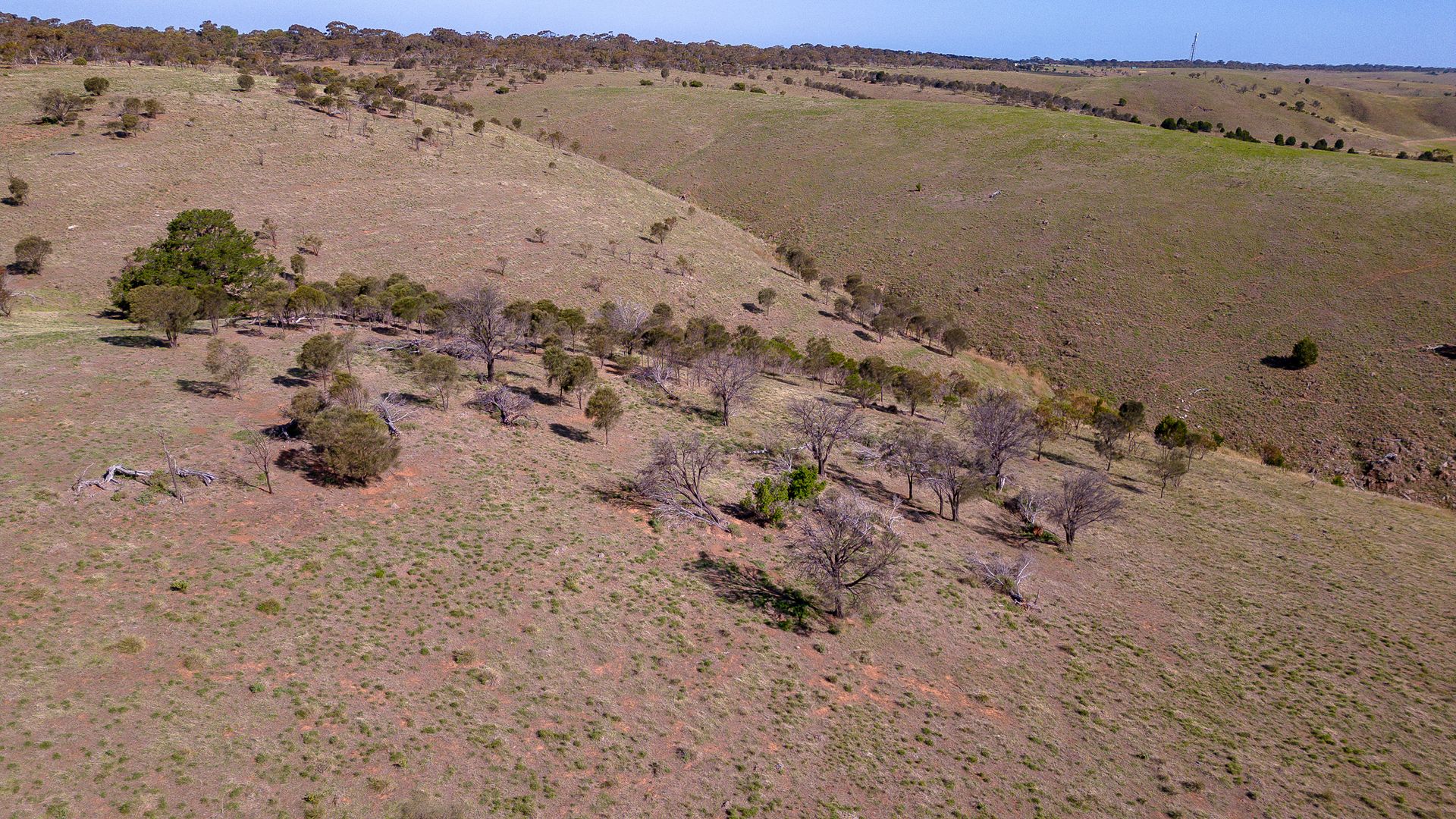 181 Old Murray Road, Callington SA 5254 - Vacant Land for Sale