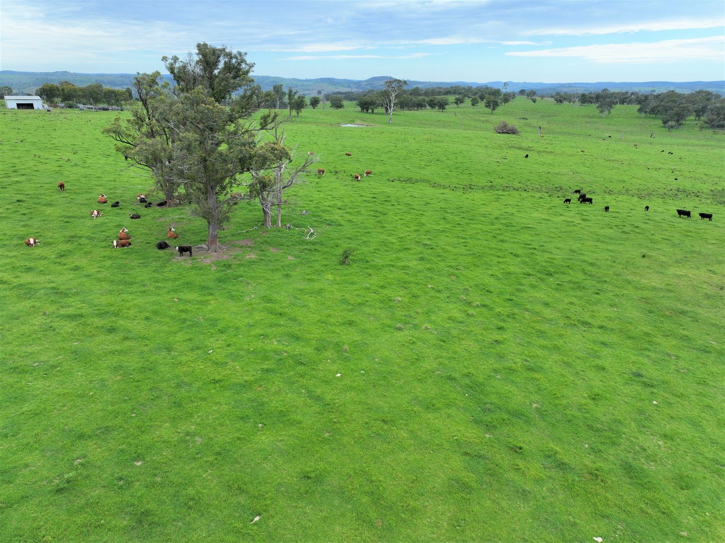 Lot 2/254 Losebys Road Big Hill, Marulan NSW 2579 - Farm for Sale ...
