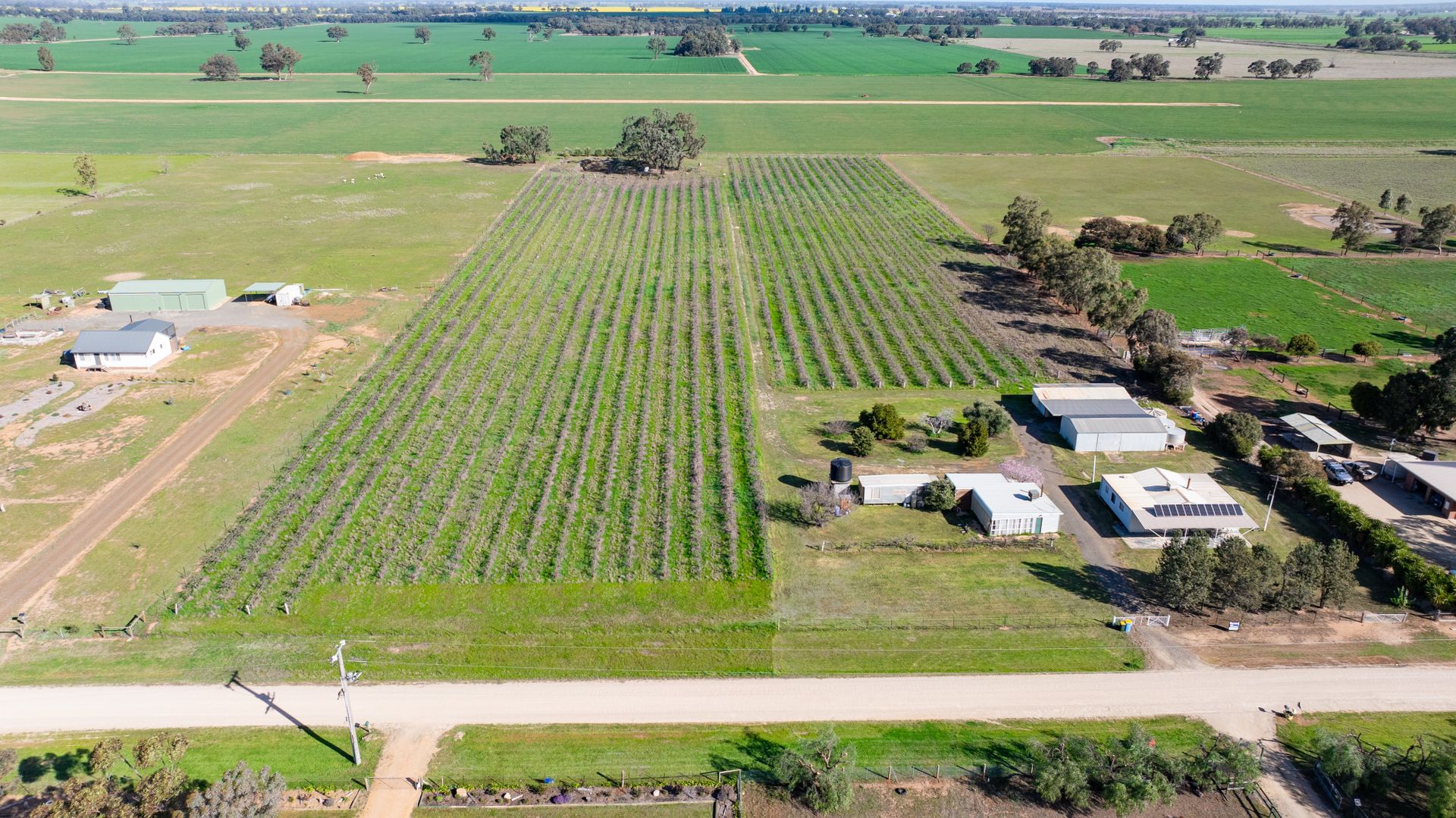 38 Ferris Street, Bearii VIC 3641 | Domain