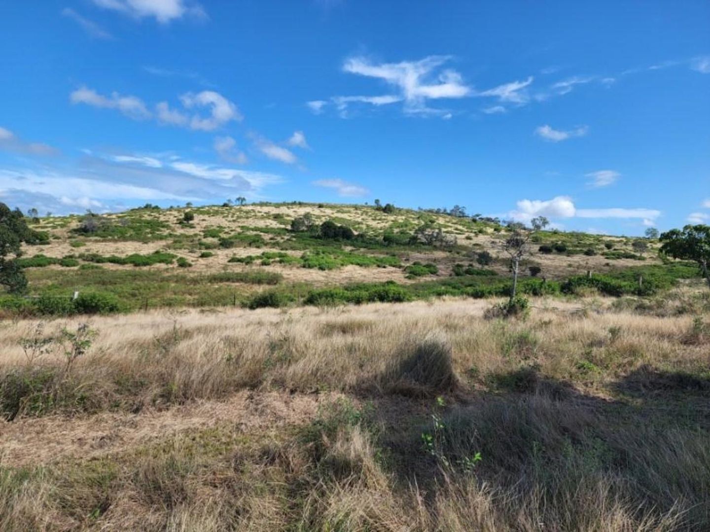 91 Sisalana Road, Bajool QLD 4699 - House for Sale | Domain