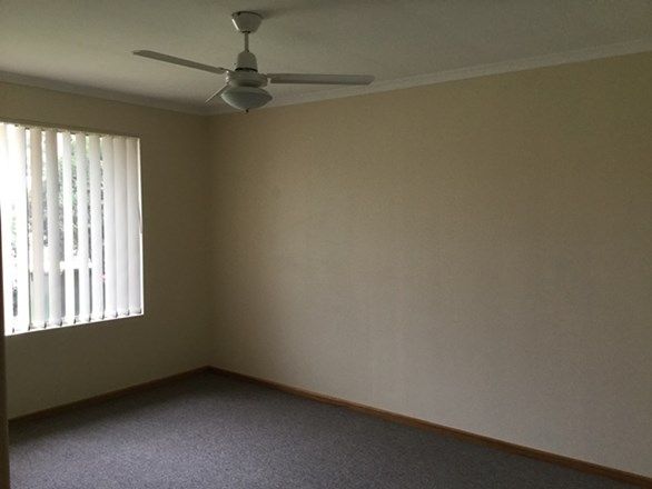 2C Anne Street, Smithfield SA 5114 - House For Rent - $410 | Domain