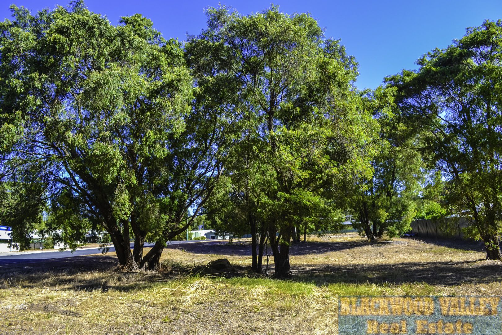 Lot 88/22 Meerup Street, Northcliffe WA 6262 | Domain