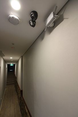8/55 Ebley St., Bondi Junction NSW 2022 - Studio For Rent | Domain
