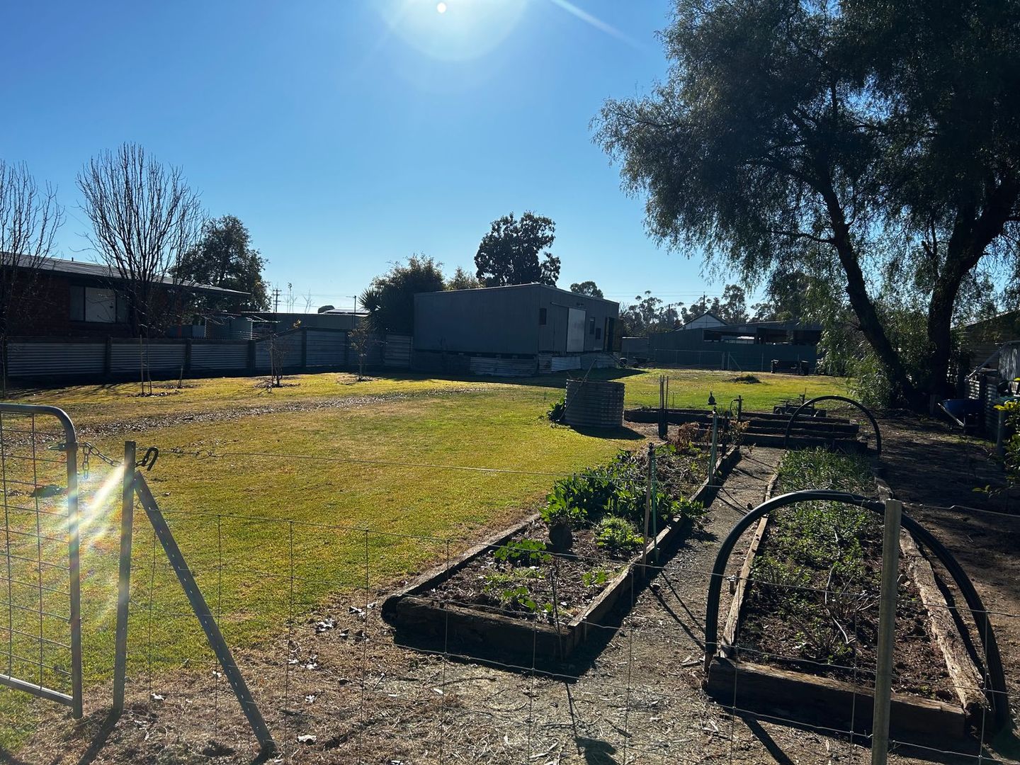 23 Koala Street, Wakool NSW 2710 | Domain