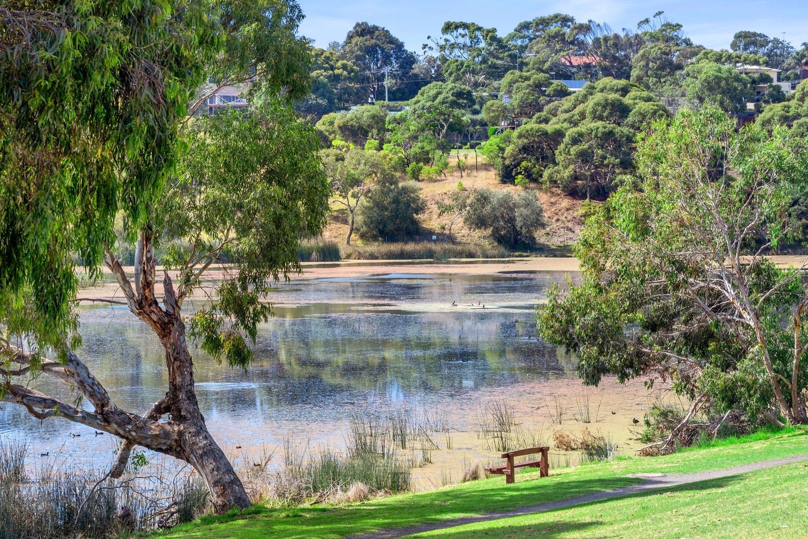 59 Lake Avenue, Ocean Grove VIC 3226 | Domain