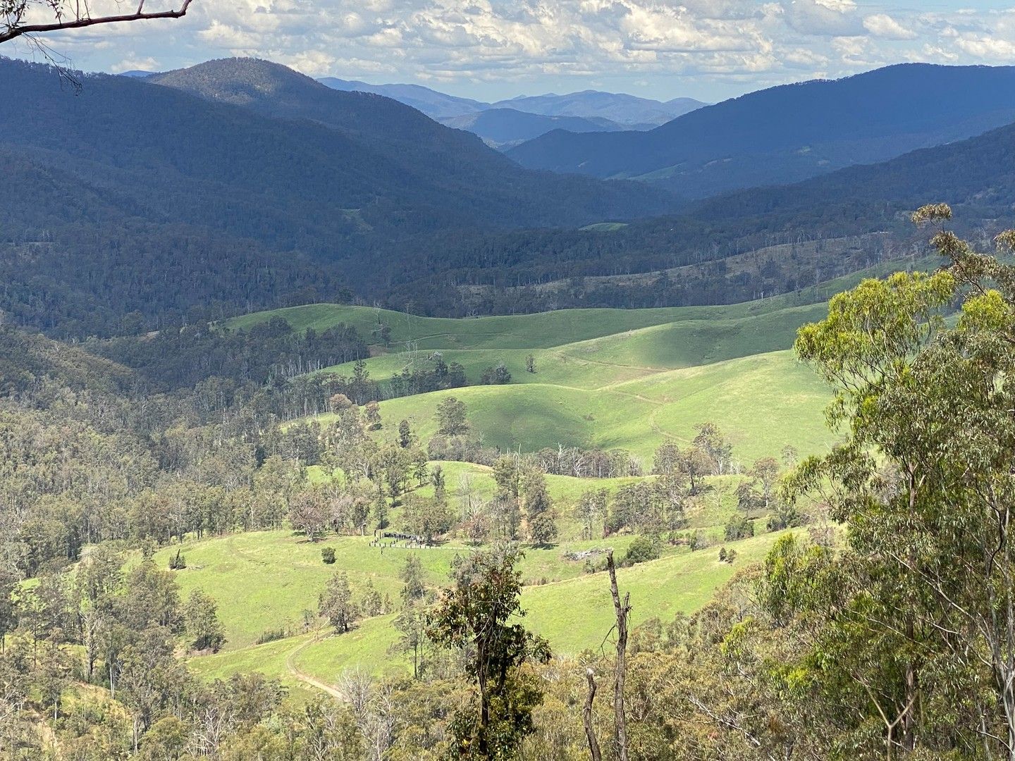 Number Two Enfield Range Road, Cooplacurripa NSW 2424 - House for Sale