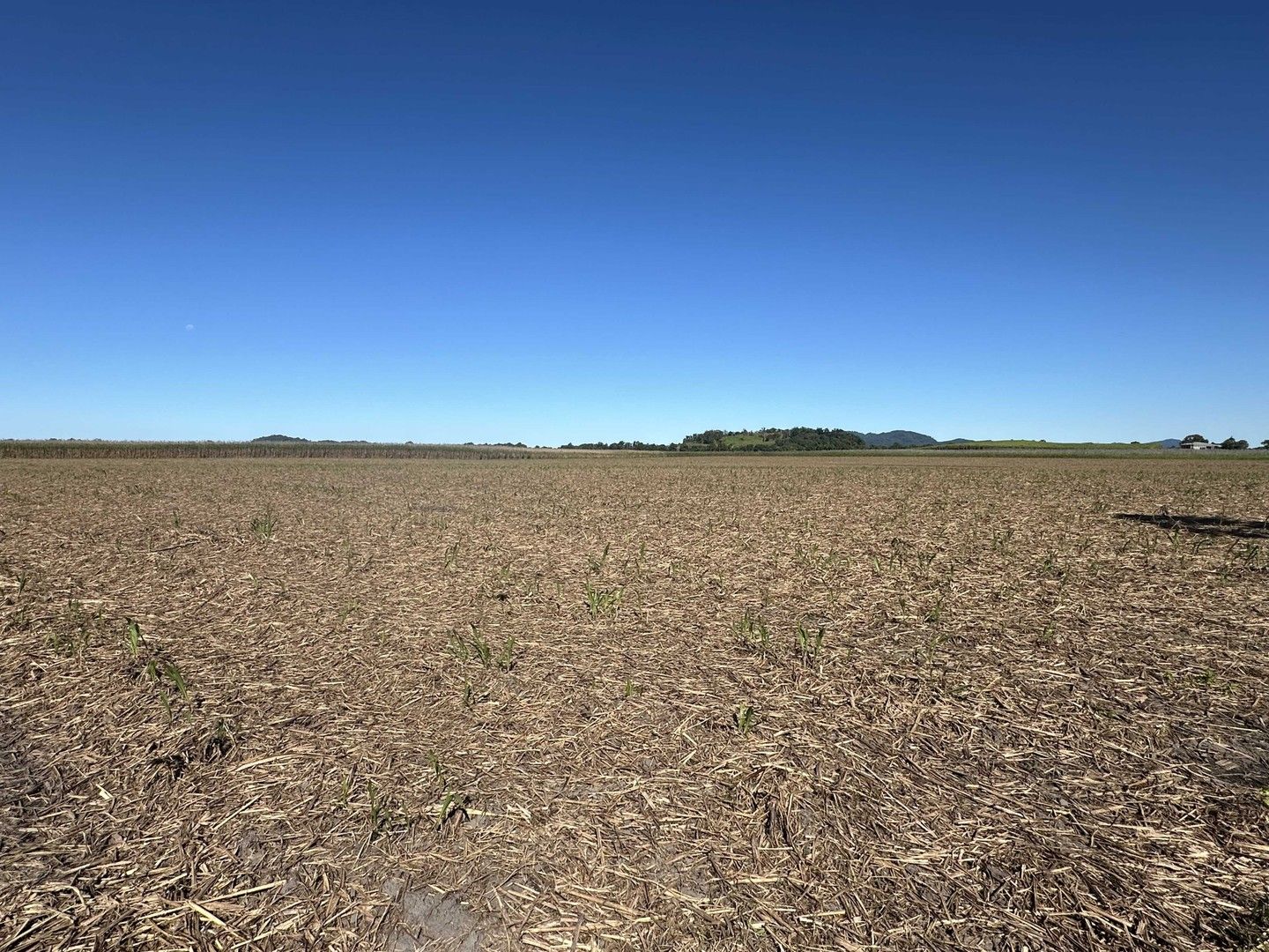 Silkwood QLD 4856 - House for Sale - $510,000 | Domain