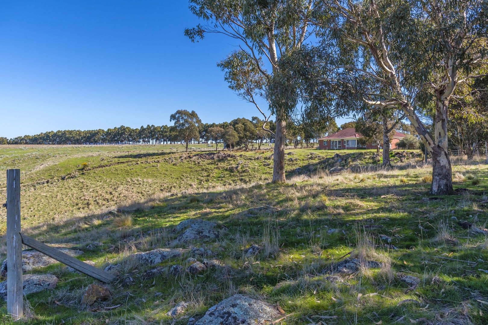 110 Stokes Lane West, Riddells Creek VIC 3431 | Domain