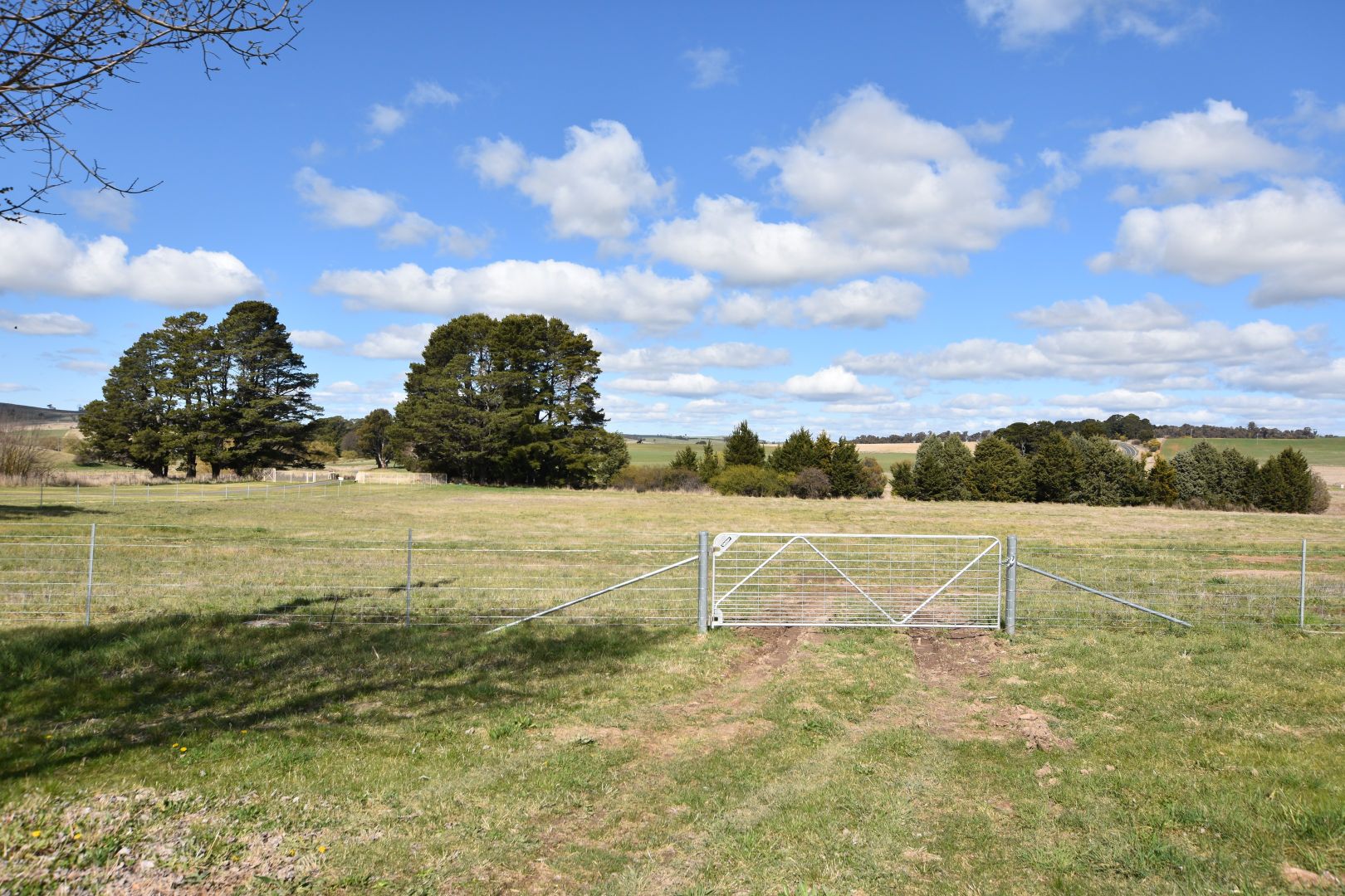 13 Selwyn Street, Barry, Blayney NSW 2799 | Domain