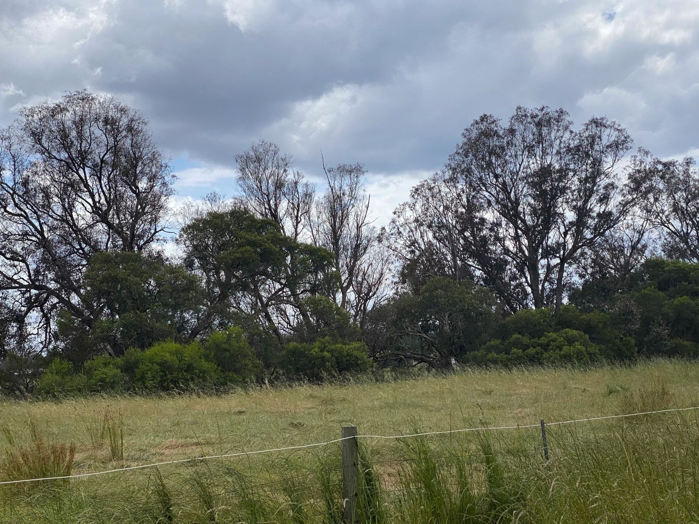 Lot 24 Hackett Rd, Cookernup WA 6219 - Vacant Land for Sale - $219,000