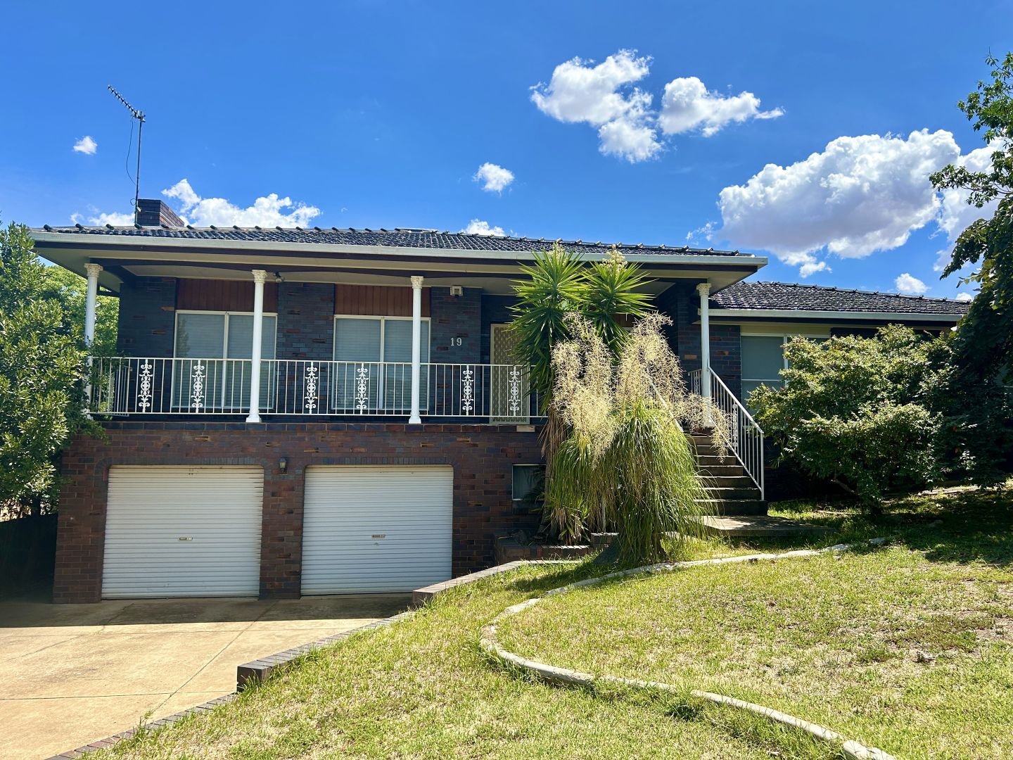 19 Cassia Way, Junee NSW 2663 - House For Rent - $560 | Domain