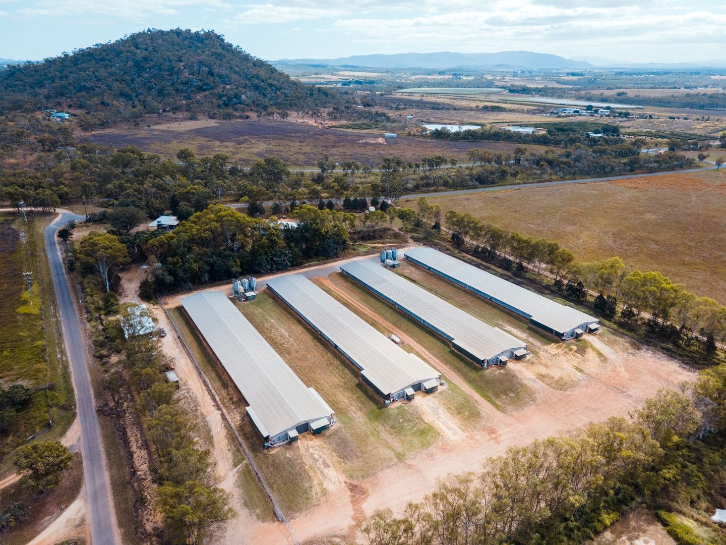 59 Martin Road, Mareeba QLD 4880 - Specialist Farm for Sale - $2,500,000
