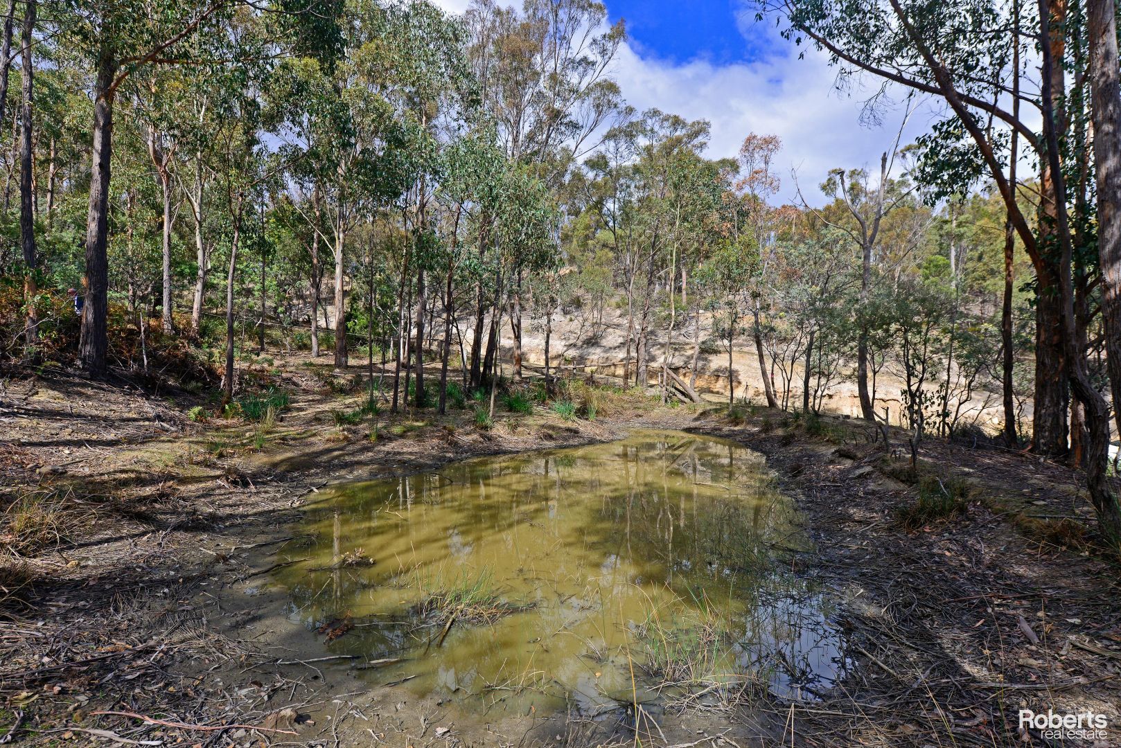 11 Gleeson Road, Dromedary TAS 7030 | Domain