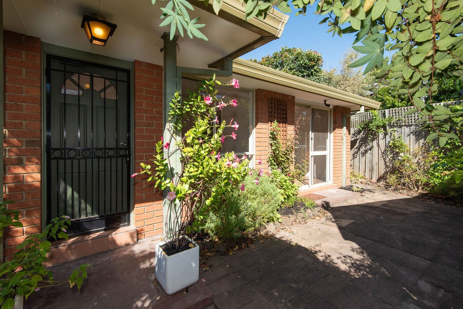 2/23 Olympic Avenue, Cheltenham VIC 3192 - Apartment For Rent | Domain