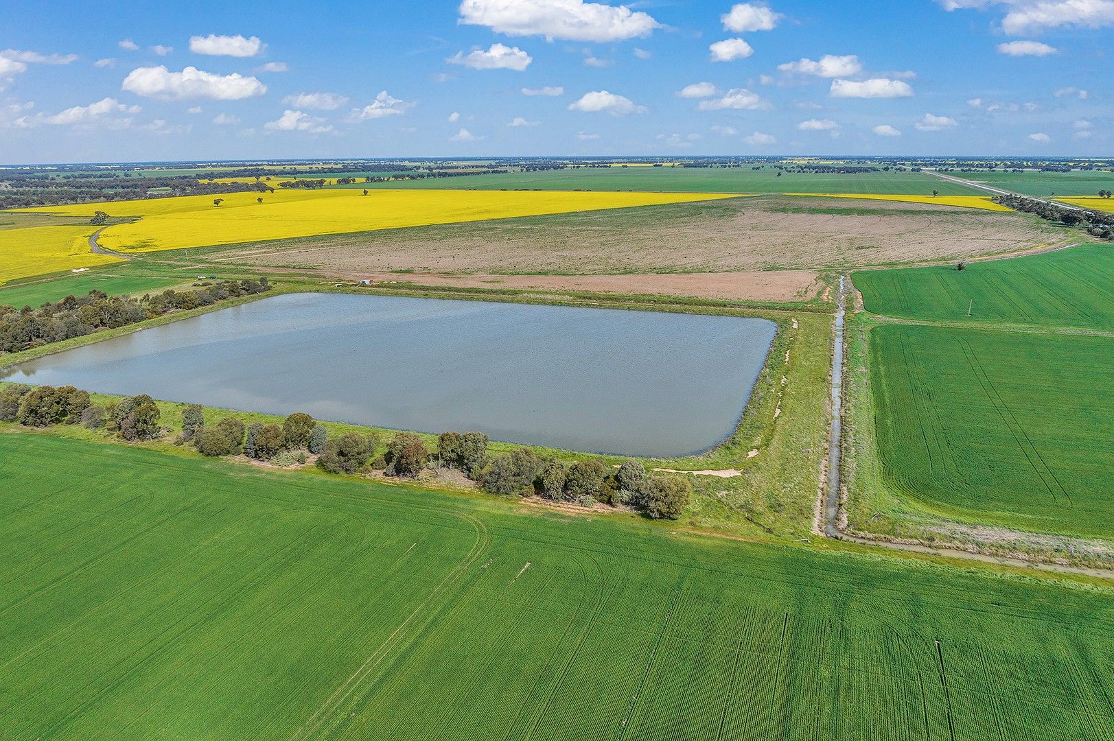 139 Willows Road, Finley NSW 2713 - Specialist Farm for Sale | Domain