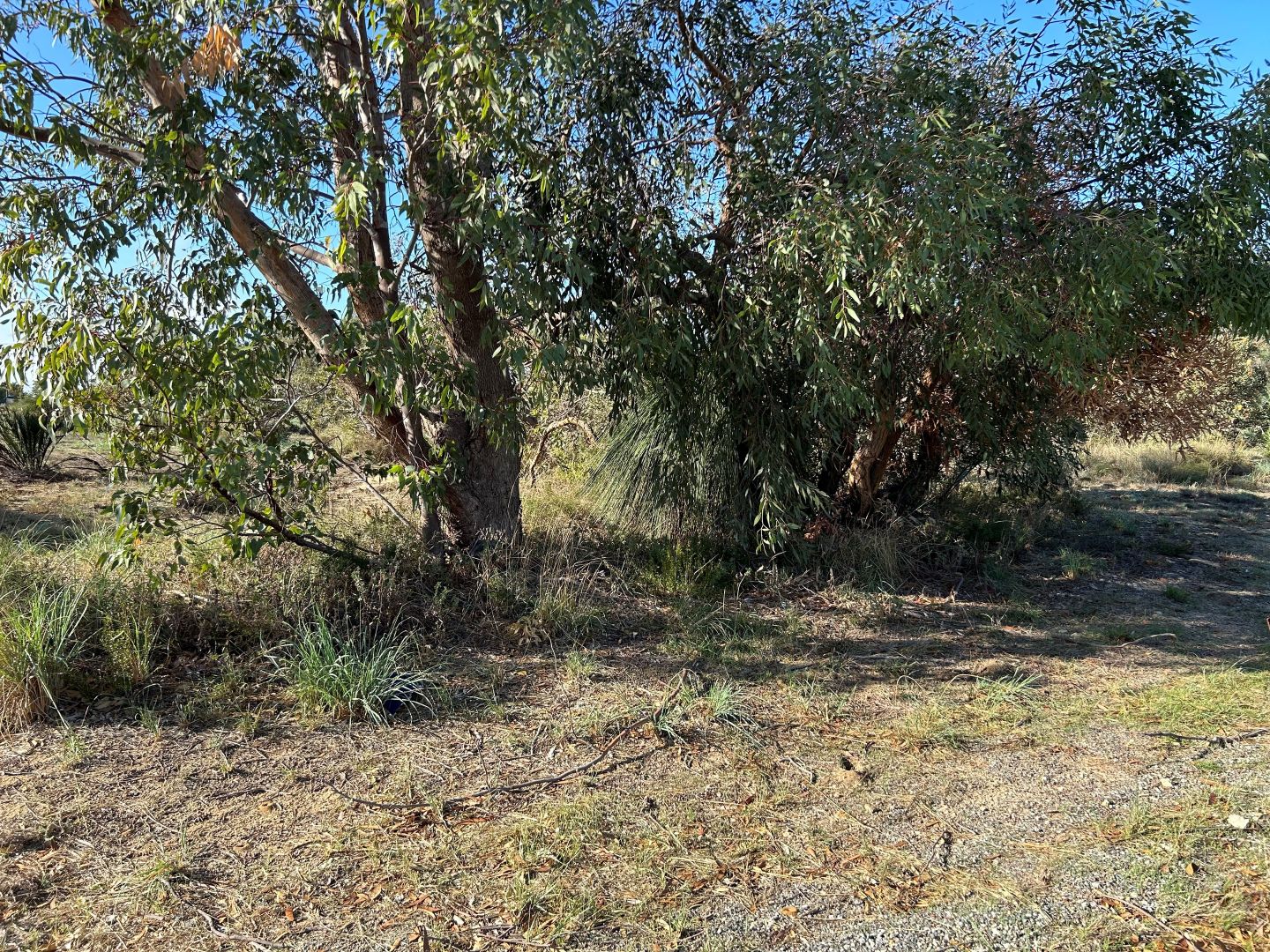 48 Wandoo Rise, Gabbadah WA 6041 | Domain