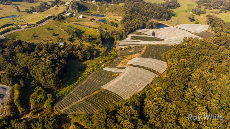 351 North Boambee Road, North Boambee Valley | Property History ...